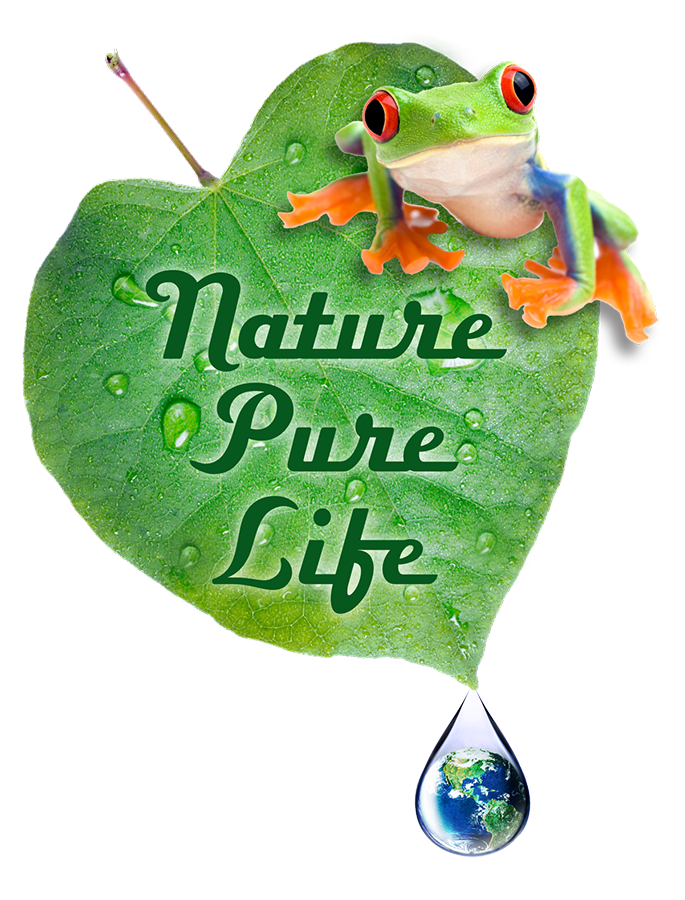 Tattoo Care: Maintain Your Ink Brightness Naturally | Nature Pure Life